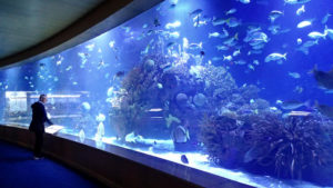 10 must-see sights in Valencia – Motorhome Europe